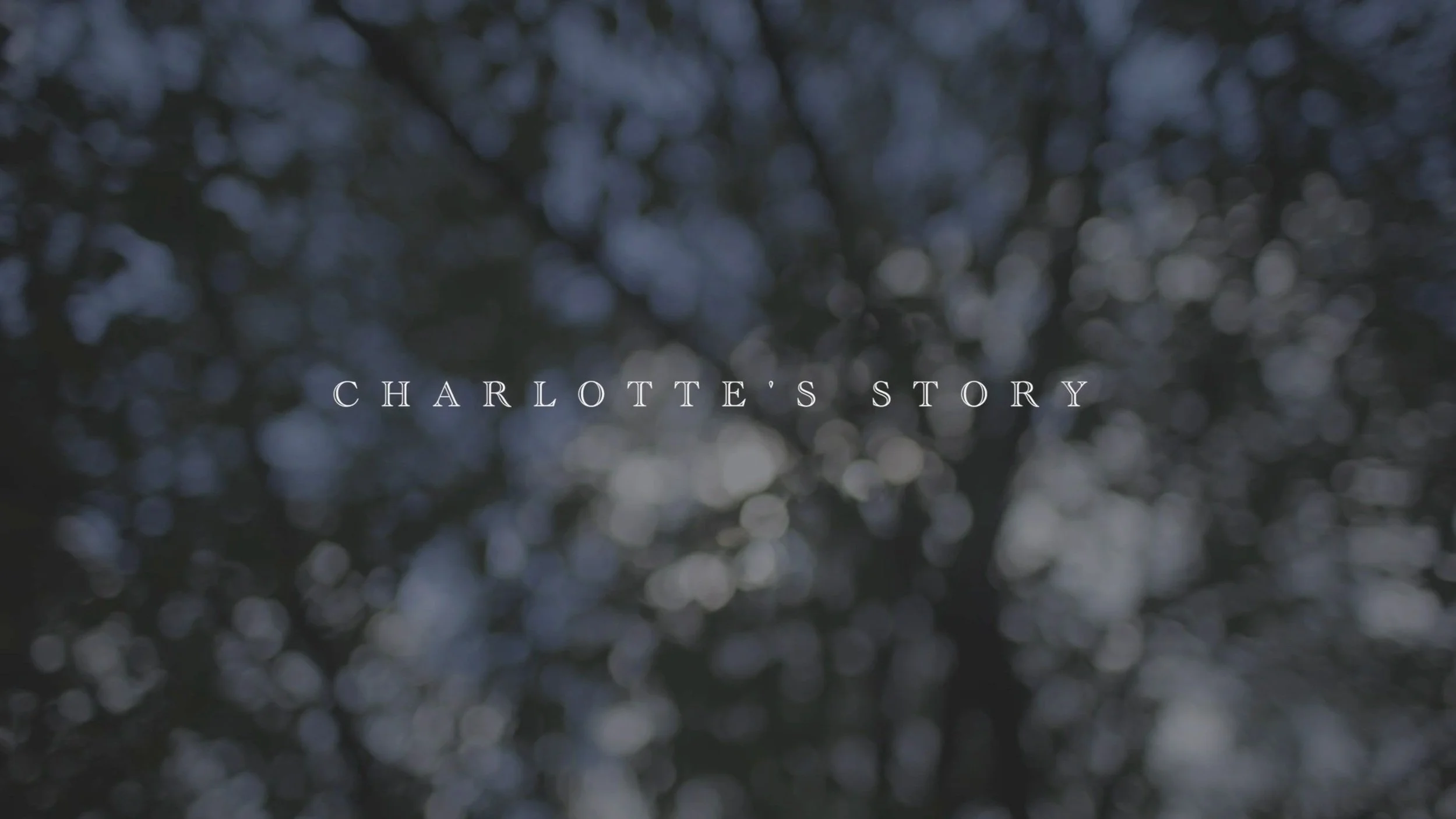 Work — Black Oak Visuals